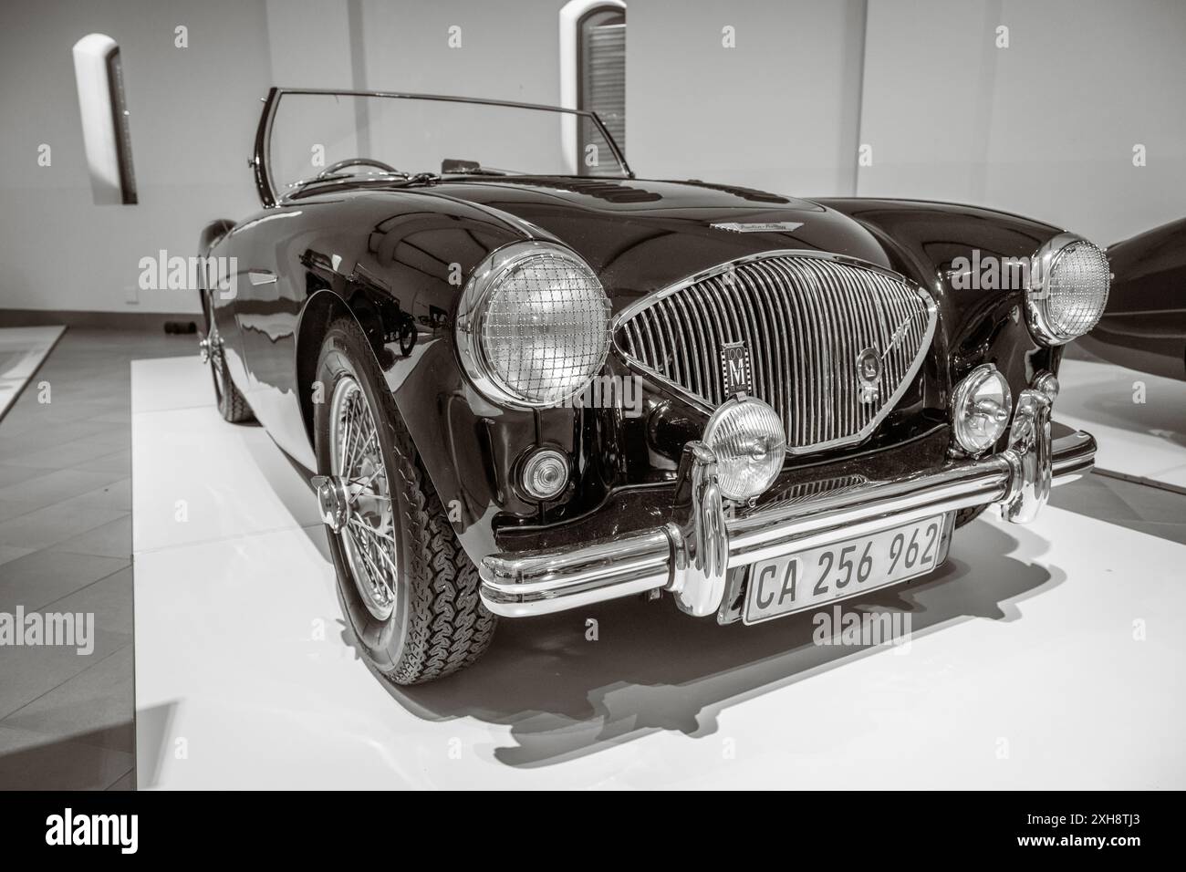 1955 austin healey logo hi-res stock photography and images - Alamy