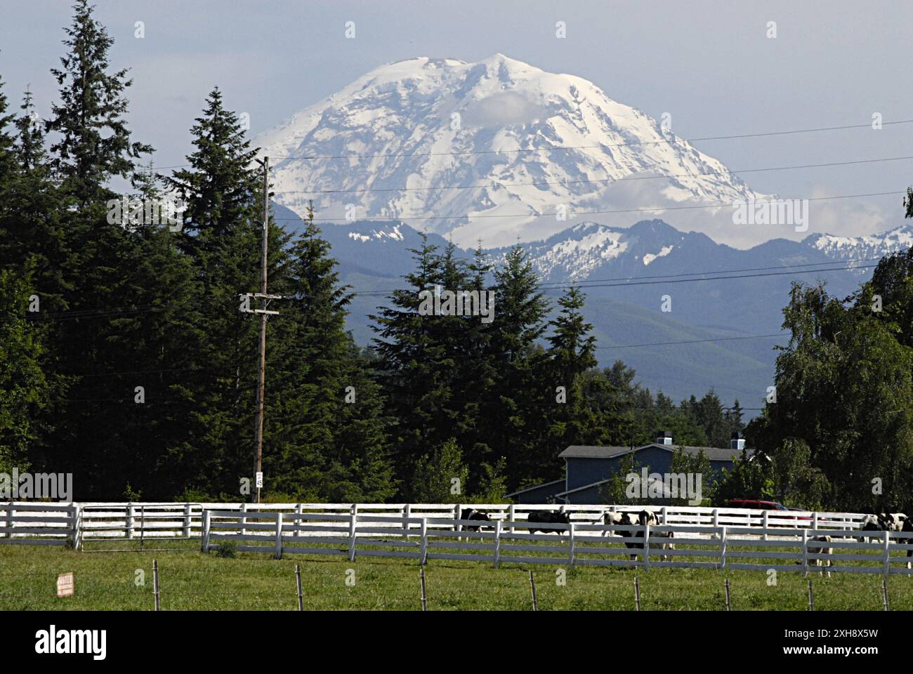 buckley/Washington state View of Mount Rainier 21 June 2014 (Photo by ...