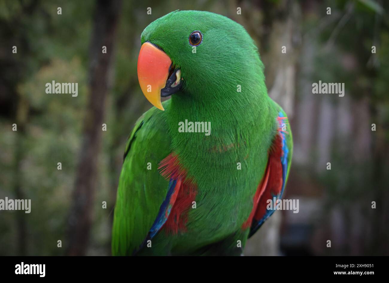 Natureincolors hi-res stock photography and images - Alamy