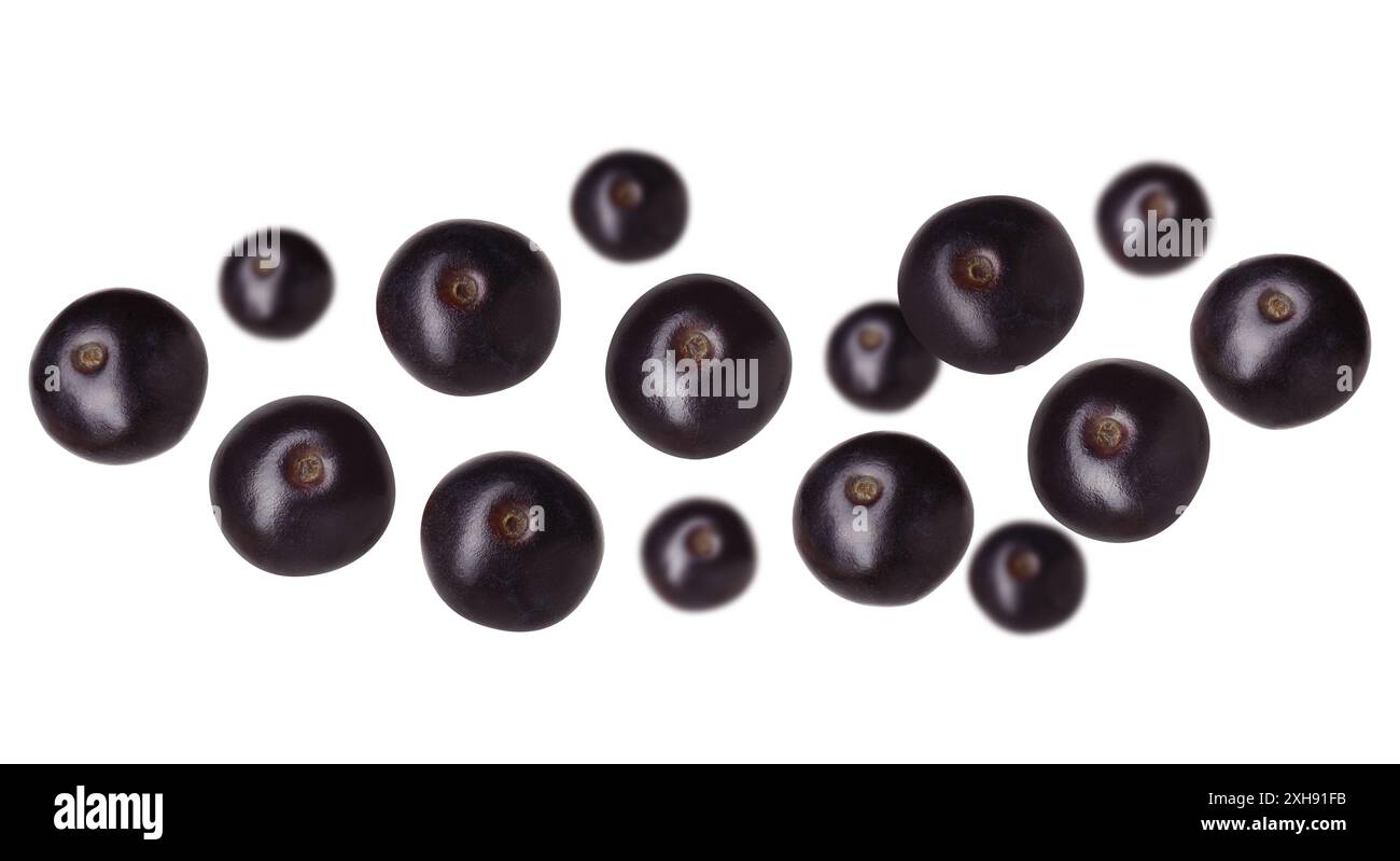 Collage of amazonia hi-res stock photography and images - Alamy