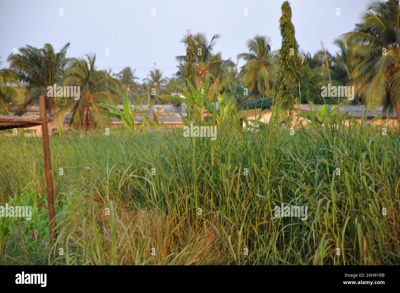 Edge of accra hi-res stock photography and images - Alamy