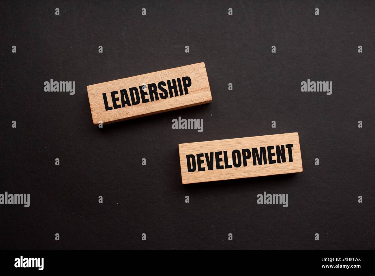 Leadership development message written on wooden blocks with black ...
