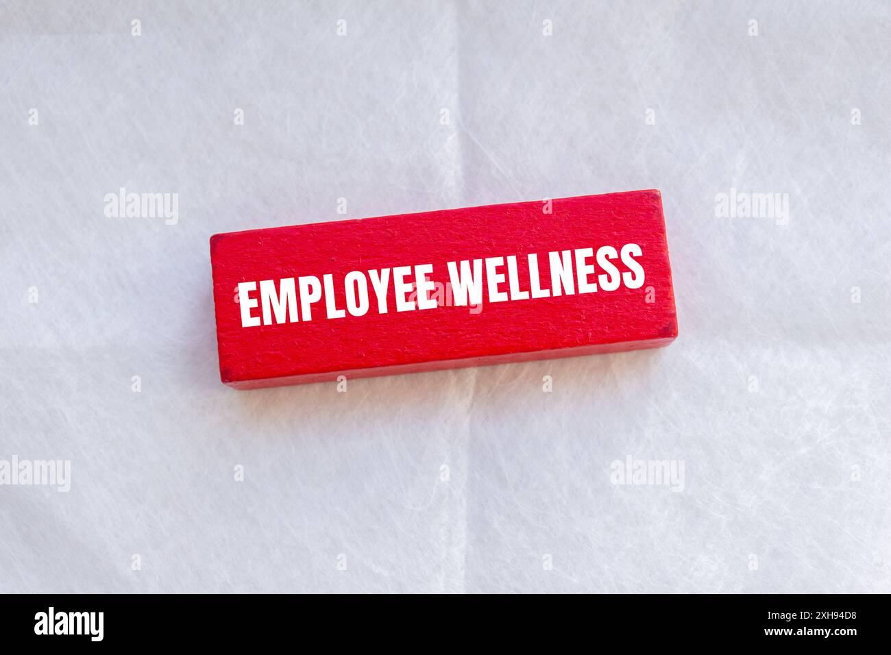 Employee wellness words written on red wodoen block with white ...
