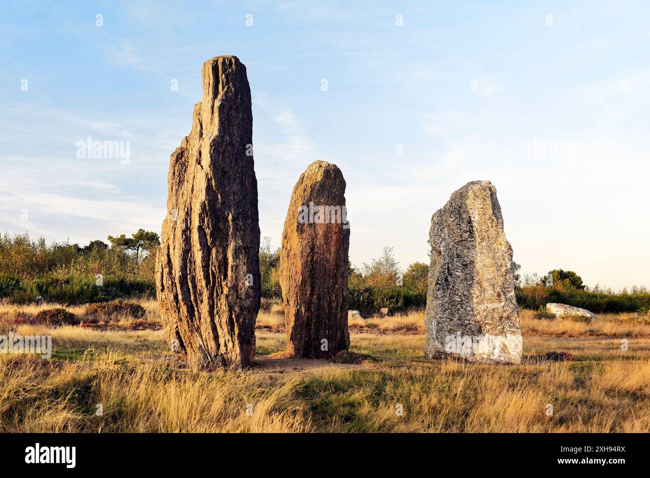 Landes De Cojoux Saint Just Brittany Part Of The Moulin Prehistoric