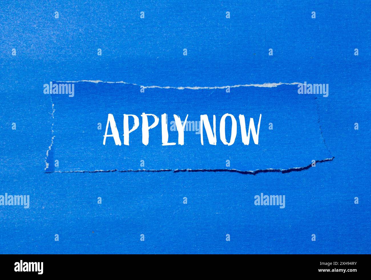 Apply now message written on ripped paper piece with blue background ...