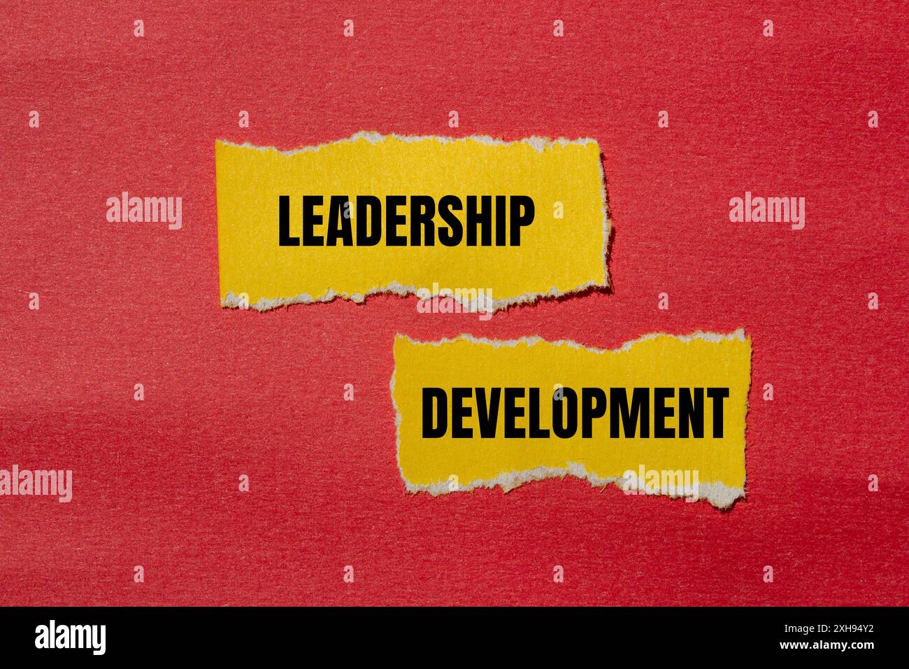 Leadership development message written on ripped yellow paper pieces ...