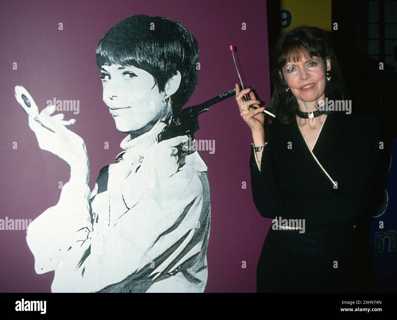 Barbara Feldon, 1993. ph: John Barrett/PHOTOlink/Courtesy Everett ...