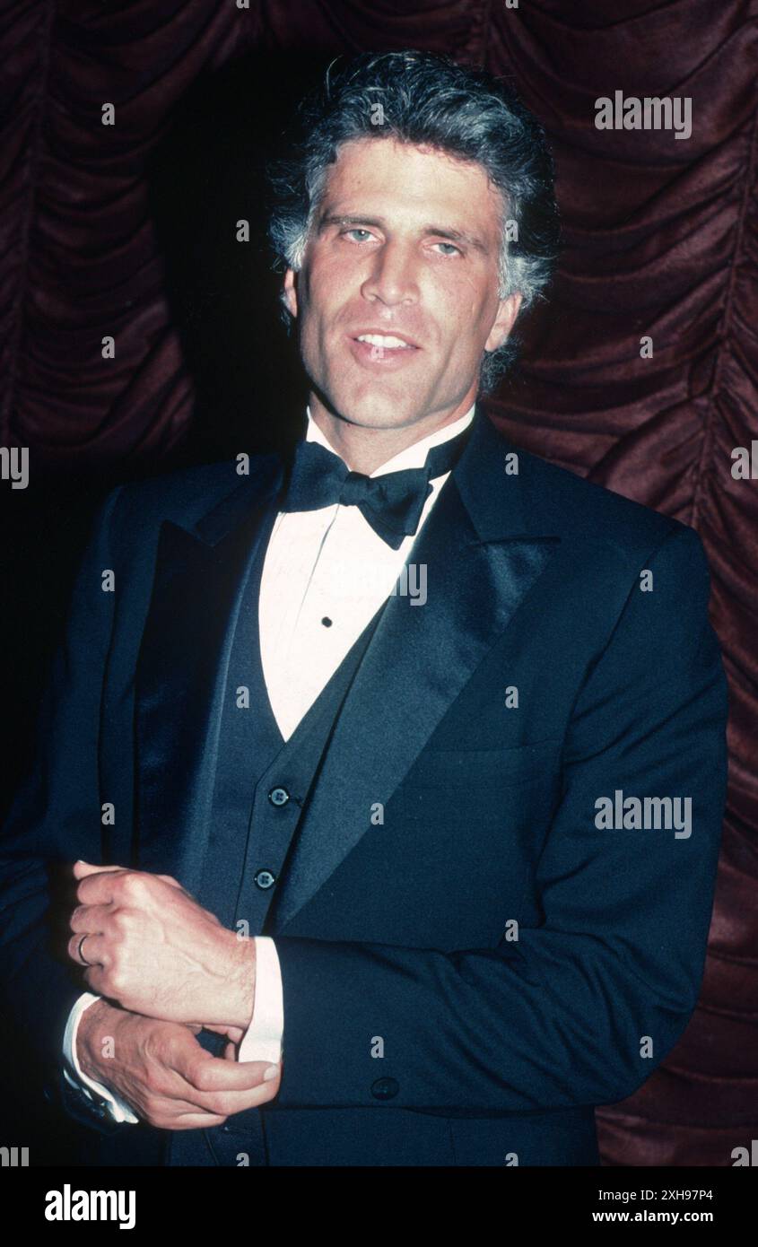Ted Danson, 1983. ph: John Barrett/PHOTOlink/Courtesy Everett ...