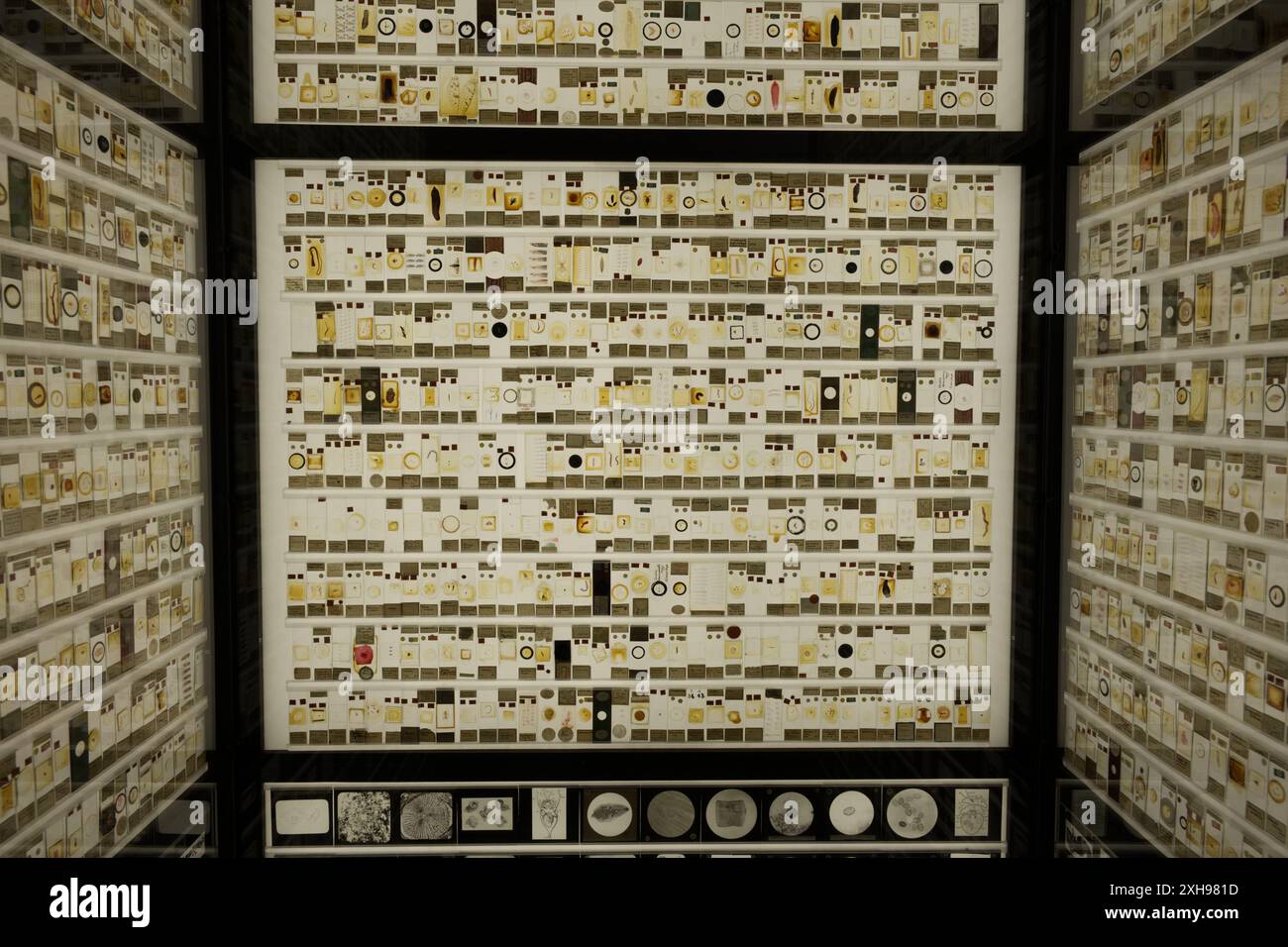 Museum microscope hi-res stock photography and images - Alamy