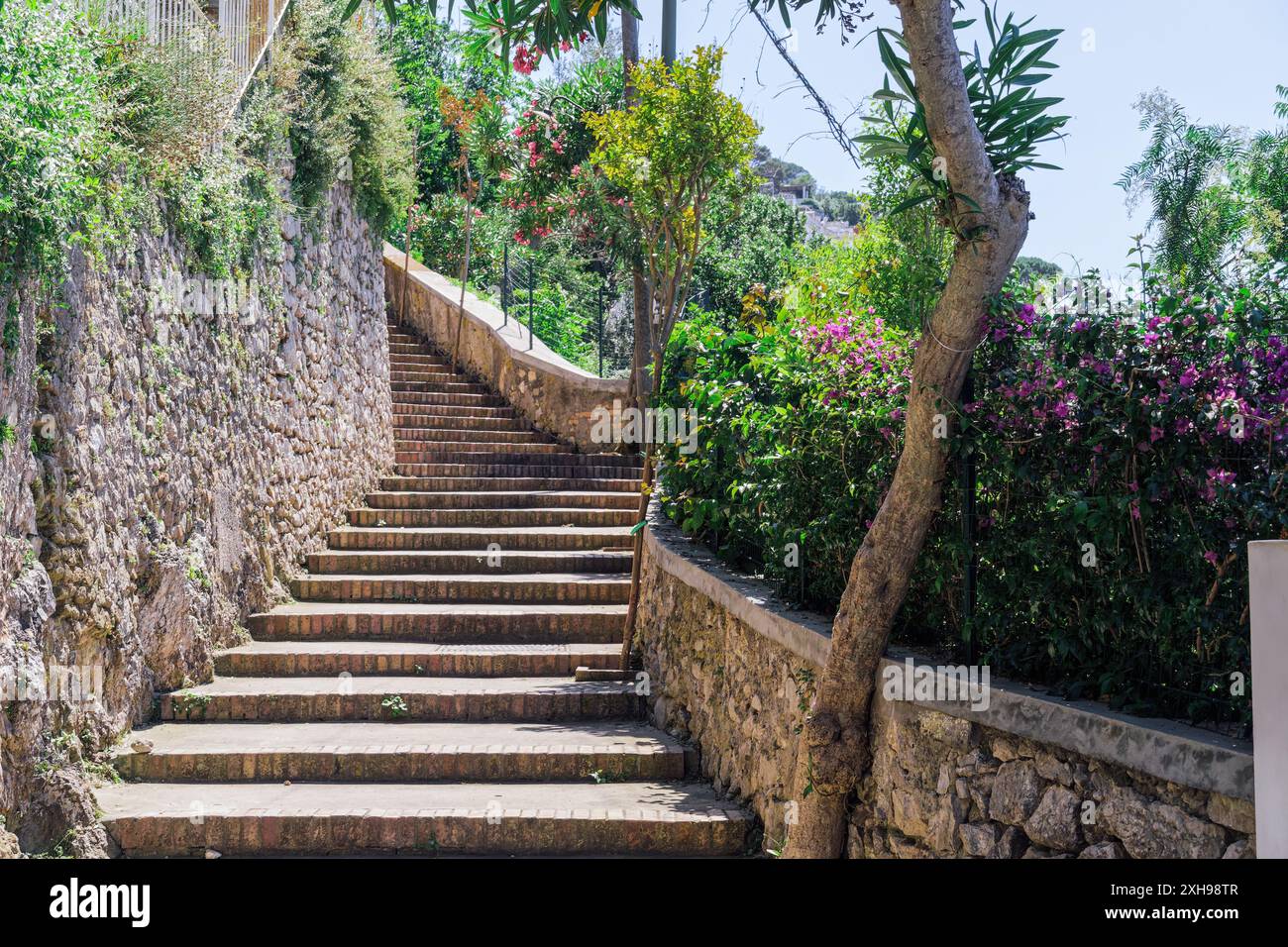 Stone steps path surrounded by vegetation, connecting Capri Town with ...