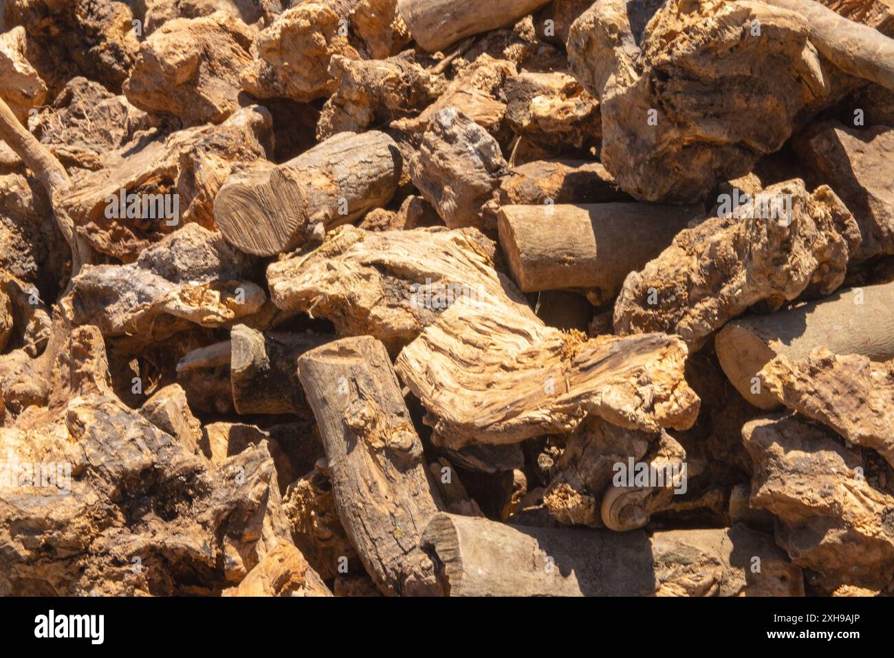 Wooden texture background. Wood for smoking and grilling meat and fish ...