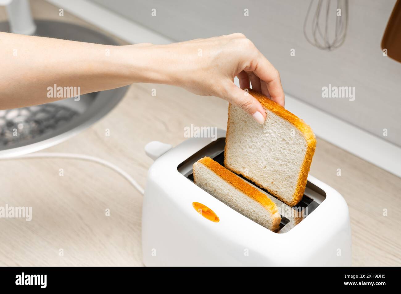 woman's hand putting bread into the toaster. housewife frying bread in a toaster, in the kitchen ...