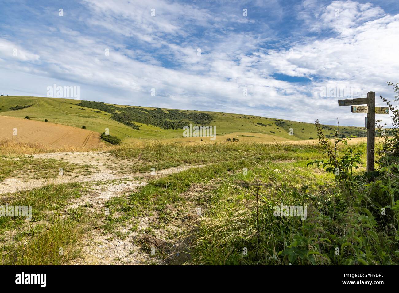 A sign post and pathway in the South Downs, with Kingston Ridge in the ...