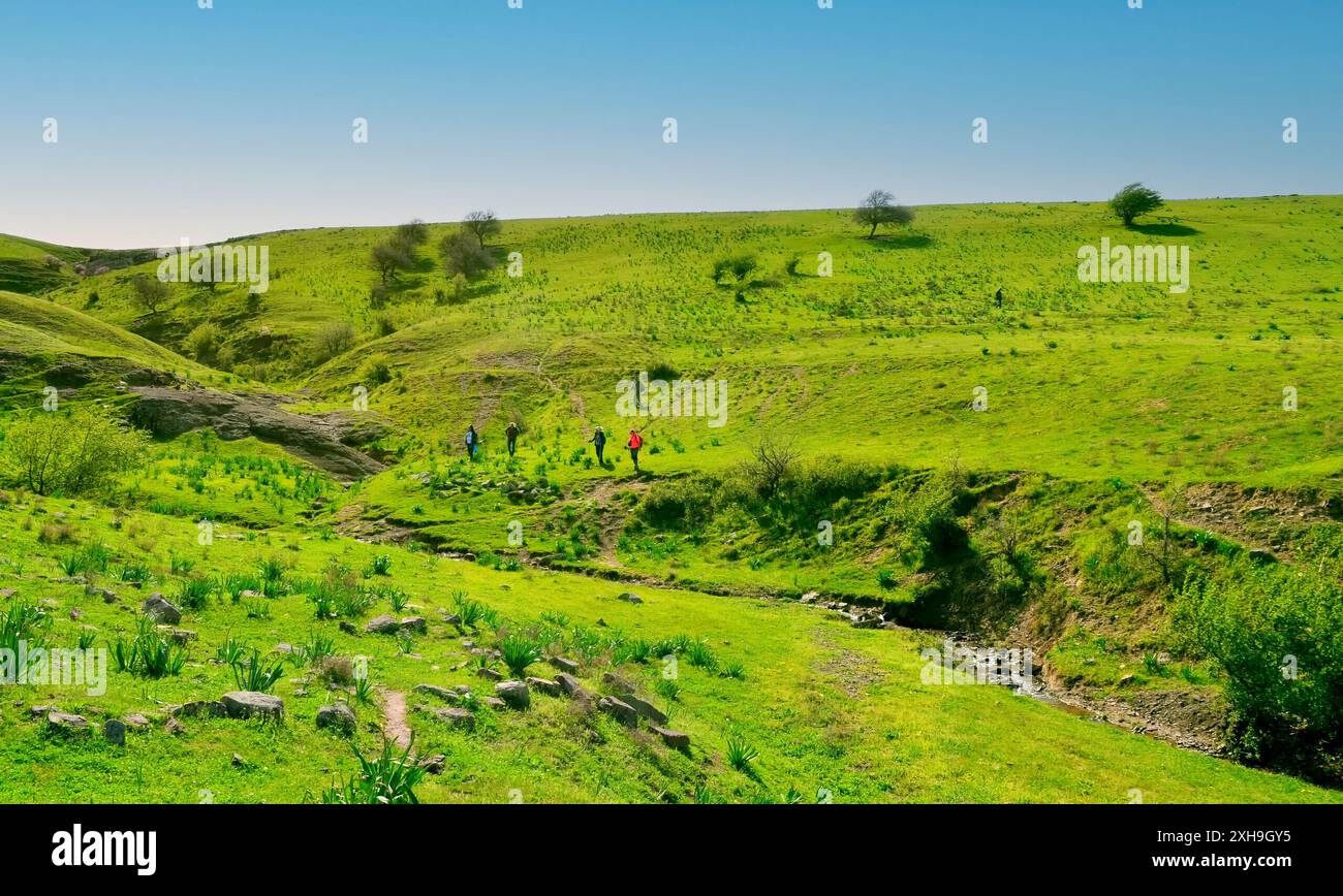 Uzbekistan mountain landscape. Foothills of the Pamirs. . Spring period ...