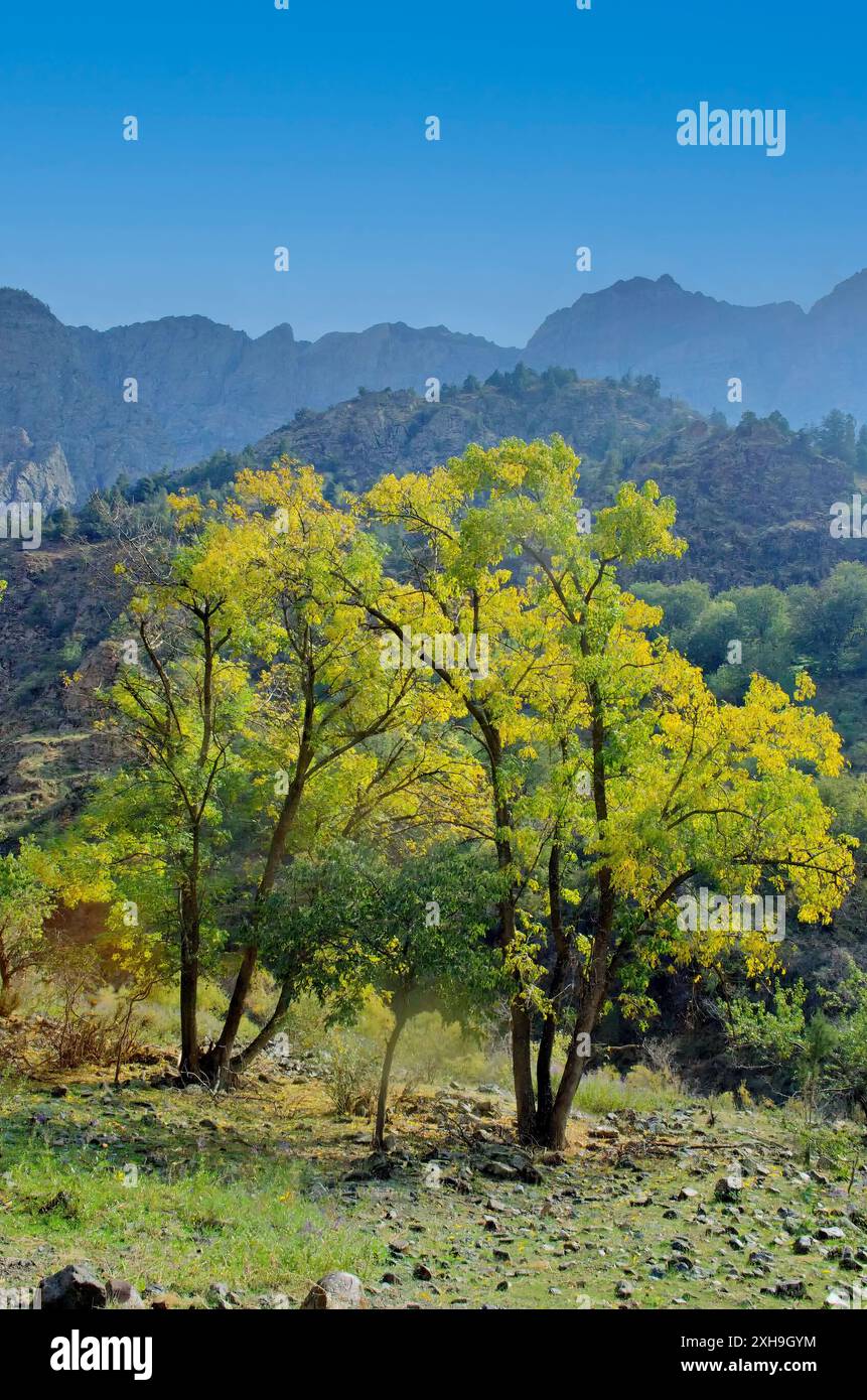 Uzbekistan mountain landscape. Foothills of the Pamirs. . Spring period ...