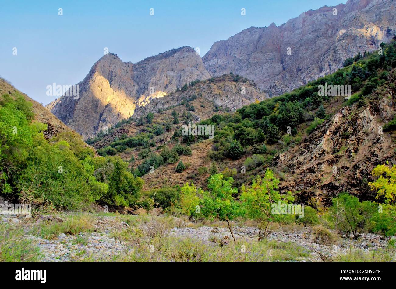 Uzbekistan mountain landscape. Foothills of the Pamirs. . Spring period ...