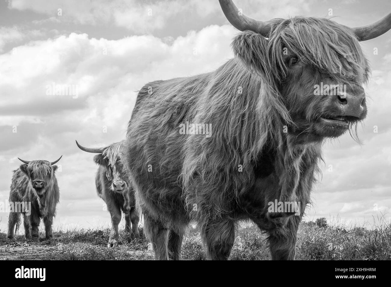 Colready highlands hi-res stock photography and images - Alamy