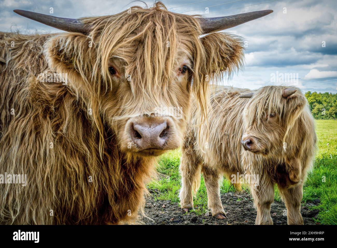 Colready highlands hi-res stock photography and images - Alamy