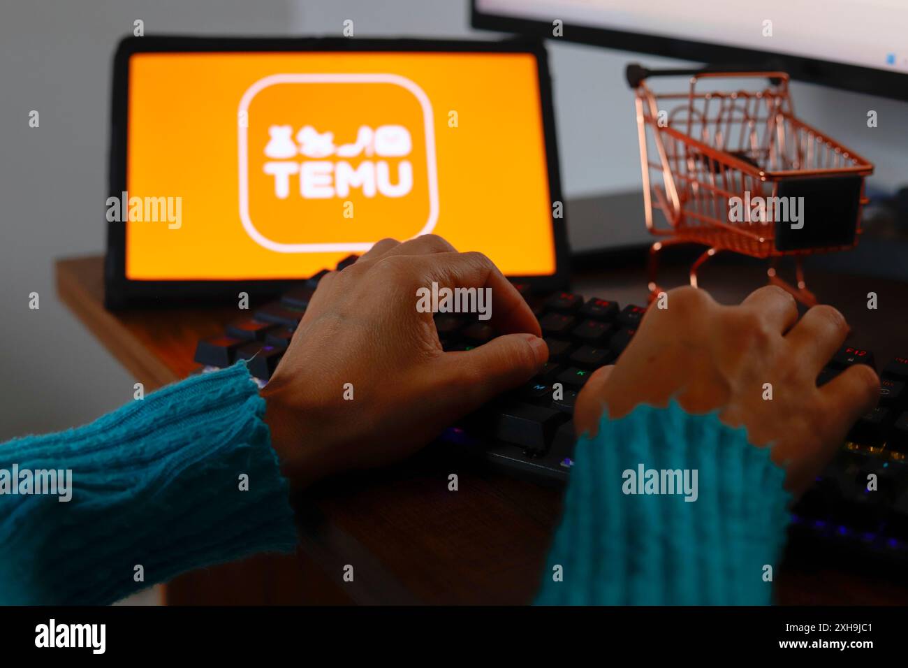 In this photo illustration, a person types near the Temu logo displayed ...