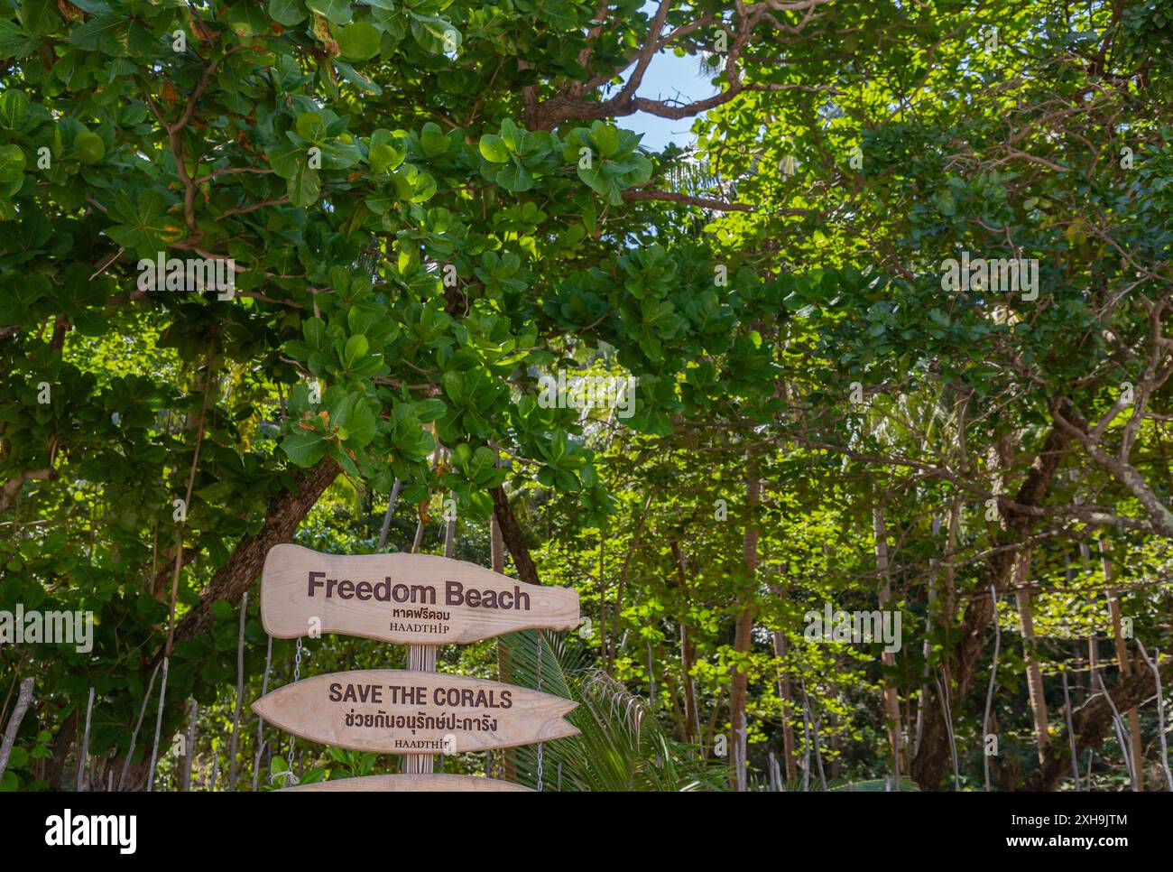 A picture of a Freedom Beach sign in front of the forest, in Phuket ...