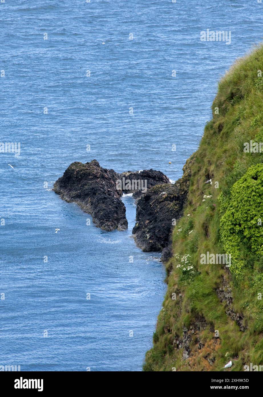 Dunnottar Castle steep cliffs surroundings ,Scotland Stock Photo - Alamy