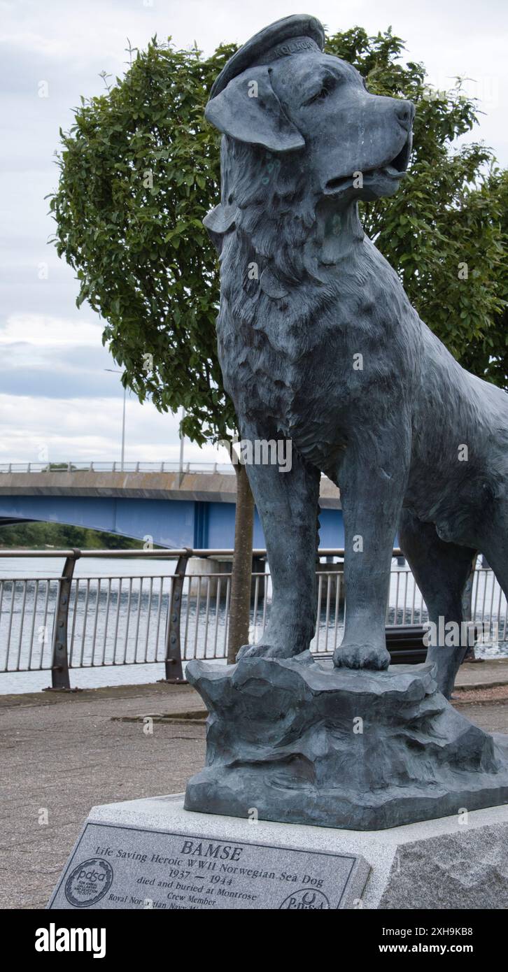 The bamse statue hi-res stock photography and images - Alamy