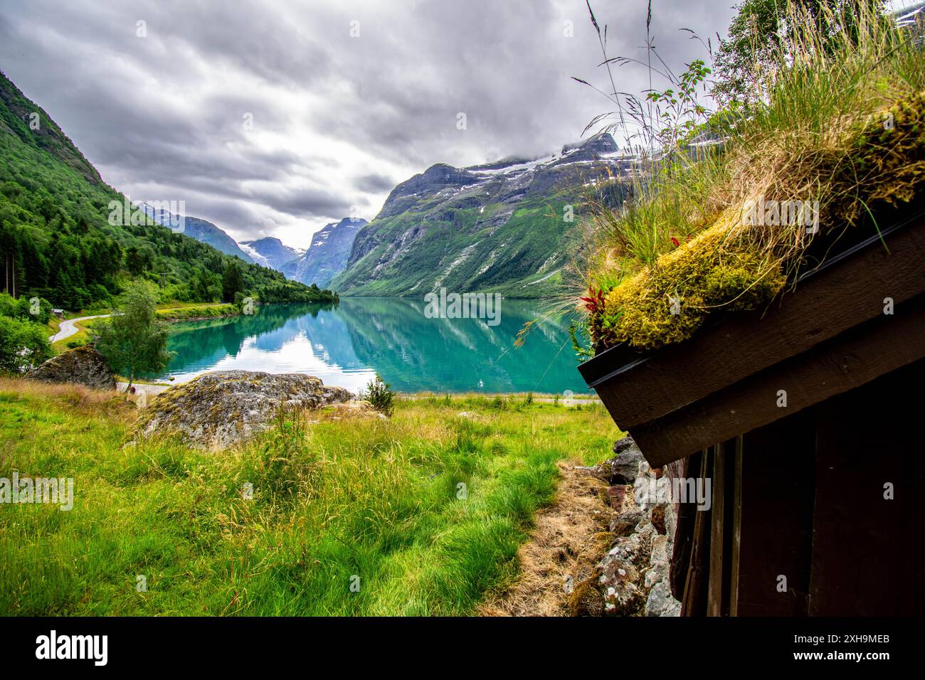 Seter hi-res stock photography and images - Alamy