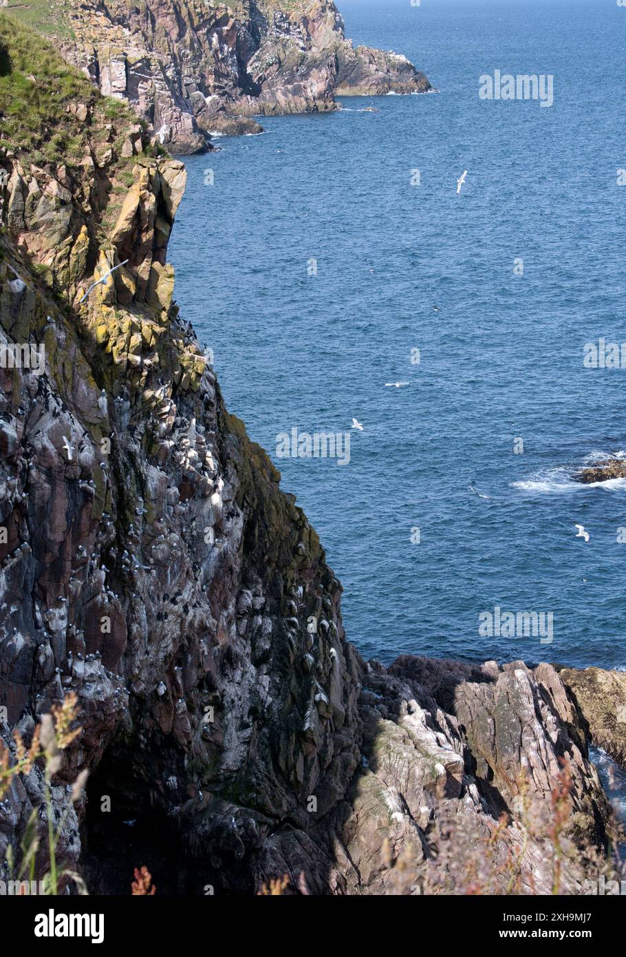 Bullers of Buchan during sunny day,Scotland Stock Photo - Alamy