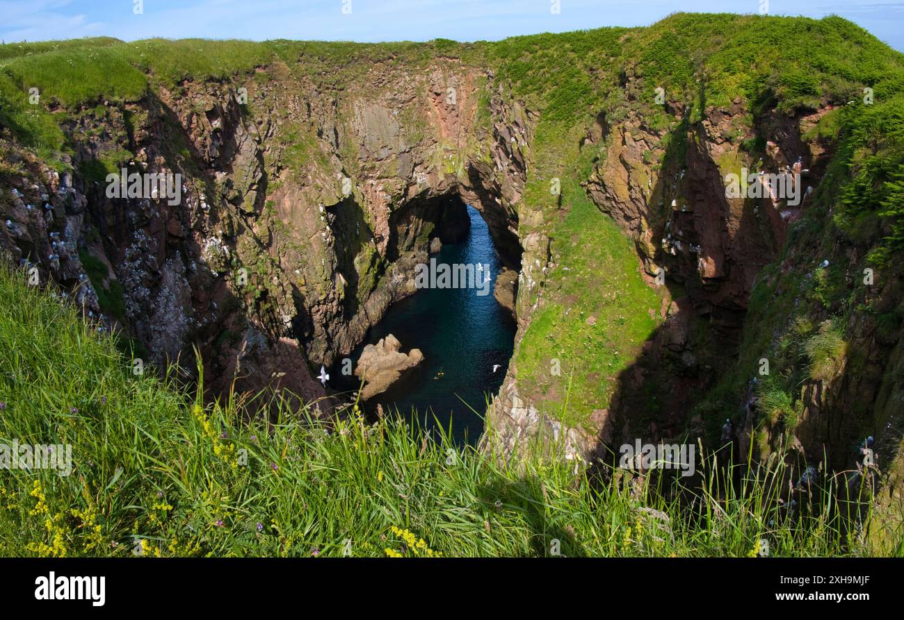 Bullers of buchan scotland hi-res stock photography and images - Alamy