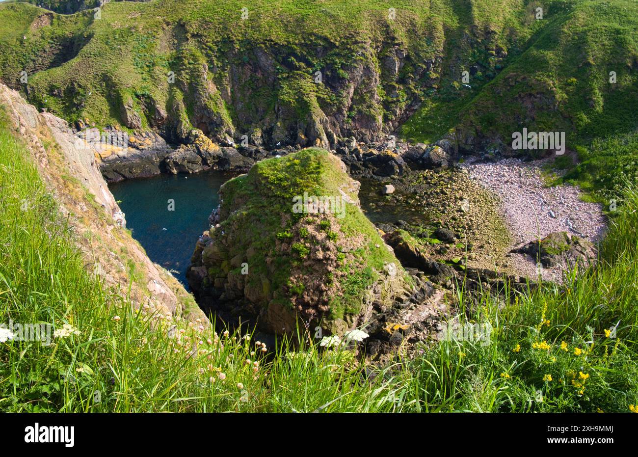 Bullers of Buchan during sunny day,Scotland Stock Photo - Alamy