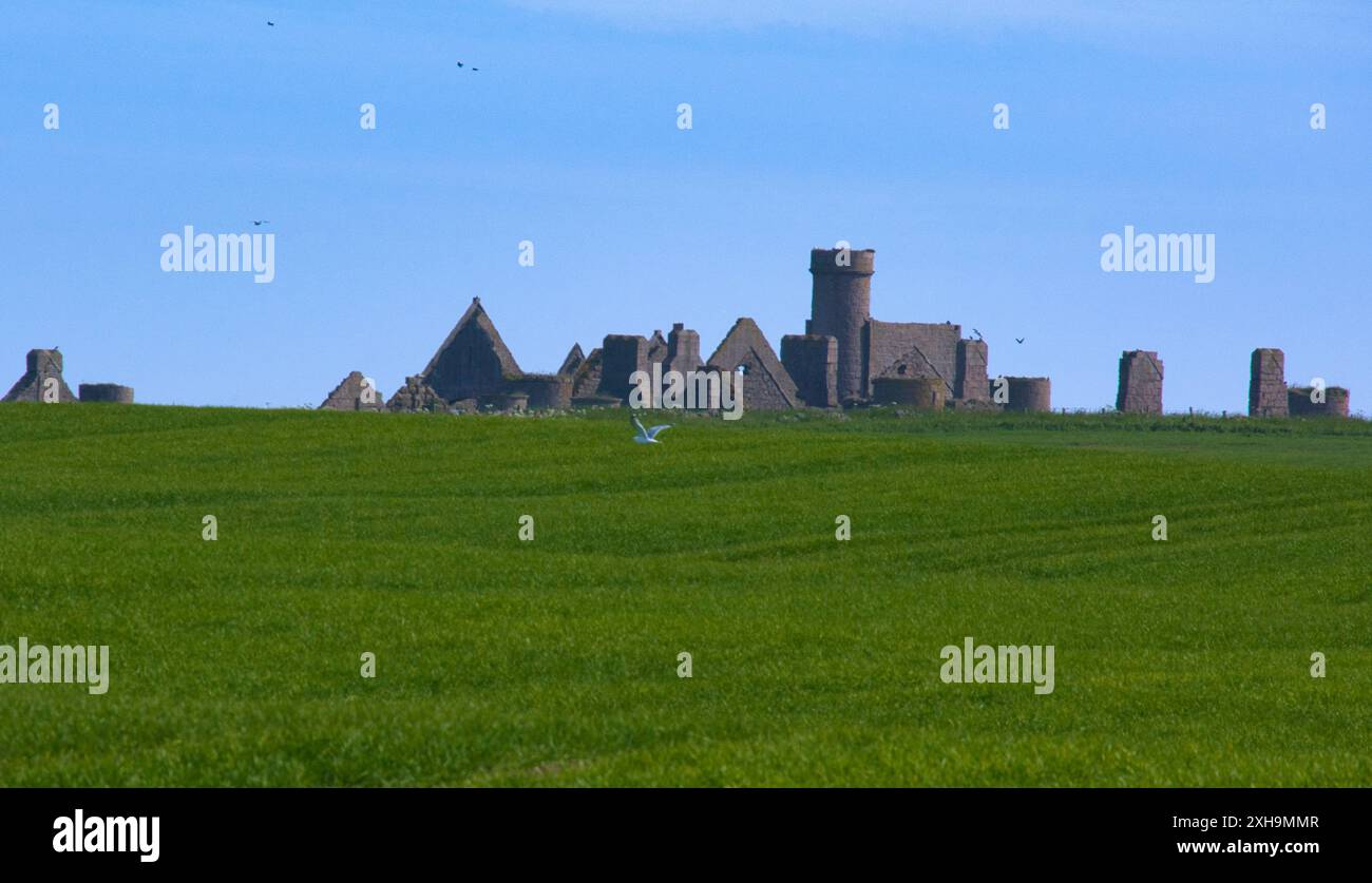 Ruins of New Slains Castle from a distance ,Aberdeenshire Stock Photo ...
