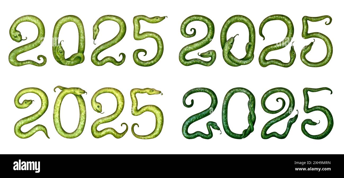 Set of the number 2025 in the form of green snakes as a symbol of the ...