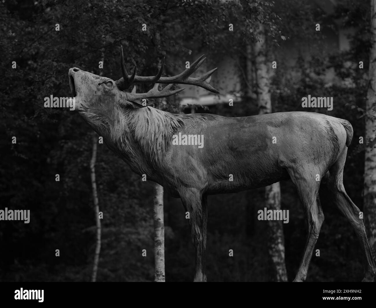 Moose statue at Berlin zoo in Berlin, Germany Stock Photo - Alamy