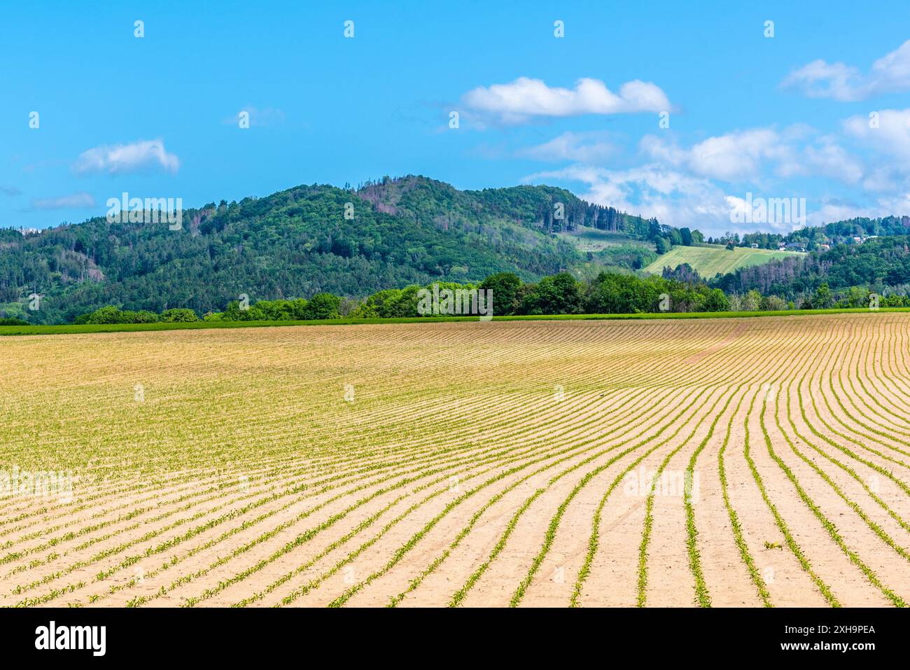 Furrows to horizon hi-res stock photography and images - Alamy