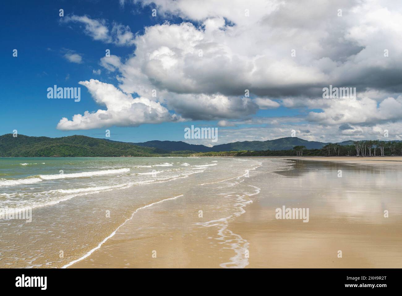 Picturesque tropical golden sandy Thornton Beach in Daintree rainforest ...