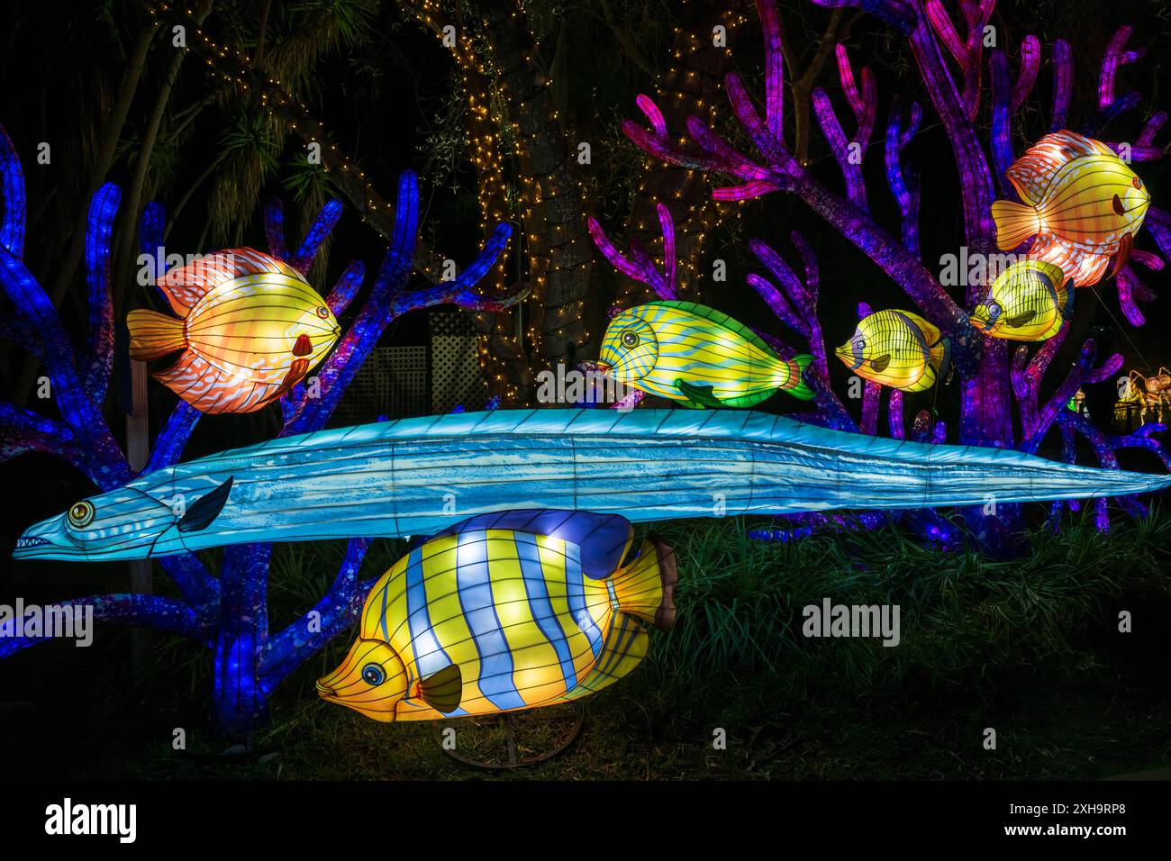 Festival of Light at the Santa Barbara Zoo, Santa Barbara, California ...