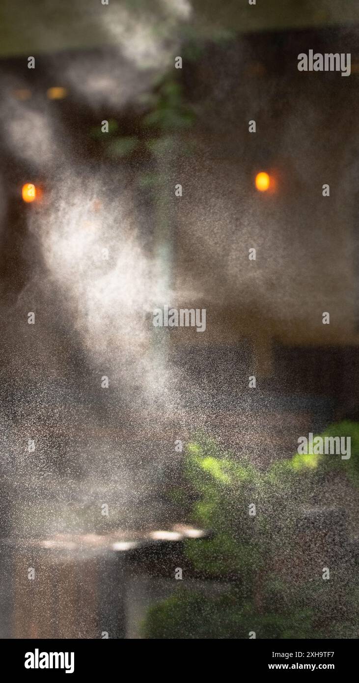 Atmospheric mist with blurred background and greenery, creating a dreamy ambiance Stock Photo ...