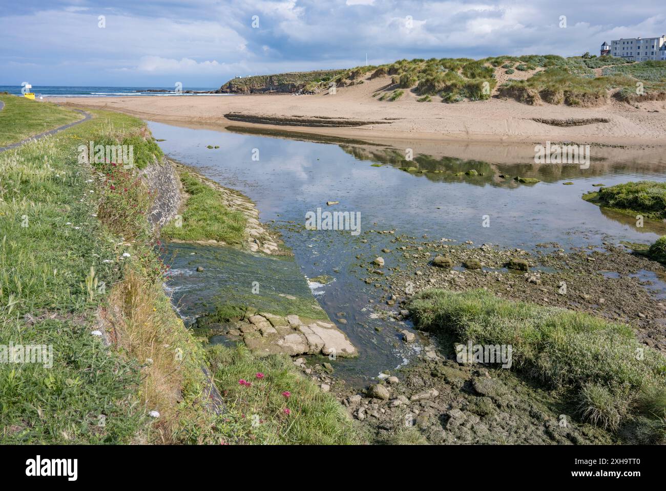 Cornwall swimmers in the water hi-res stock photography and images - Alamy