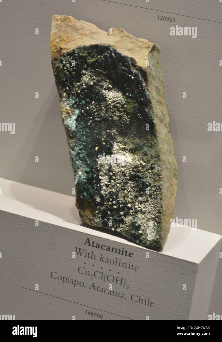 Atacamite with Kolinite from Atacama Chile, Smithsonian Natural History ...