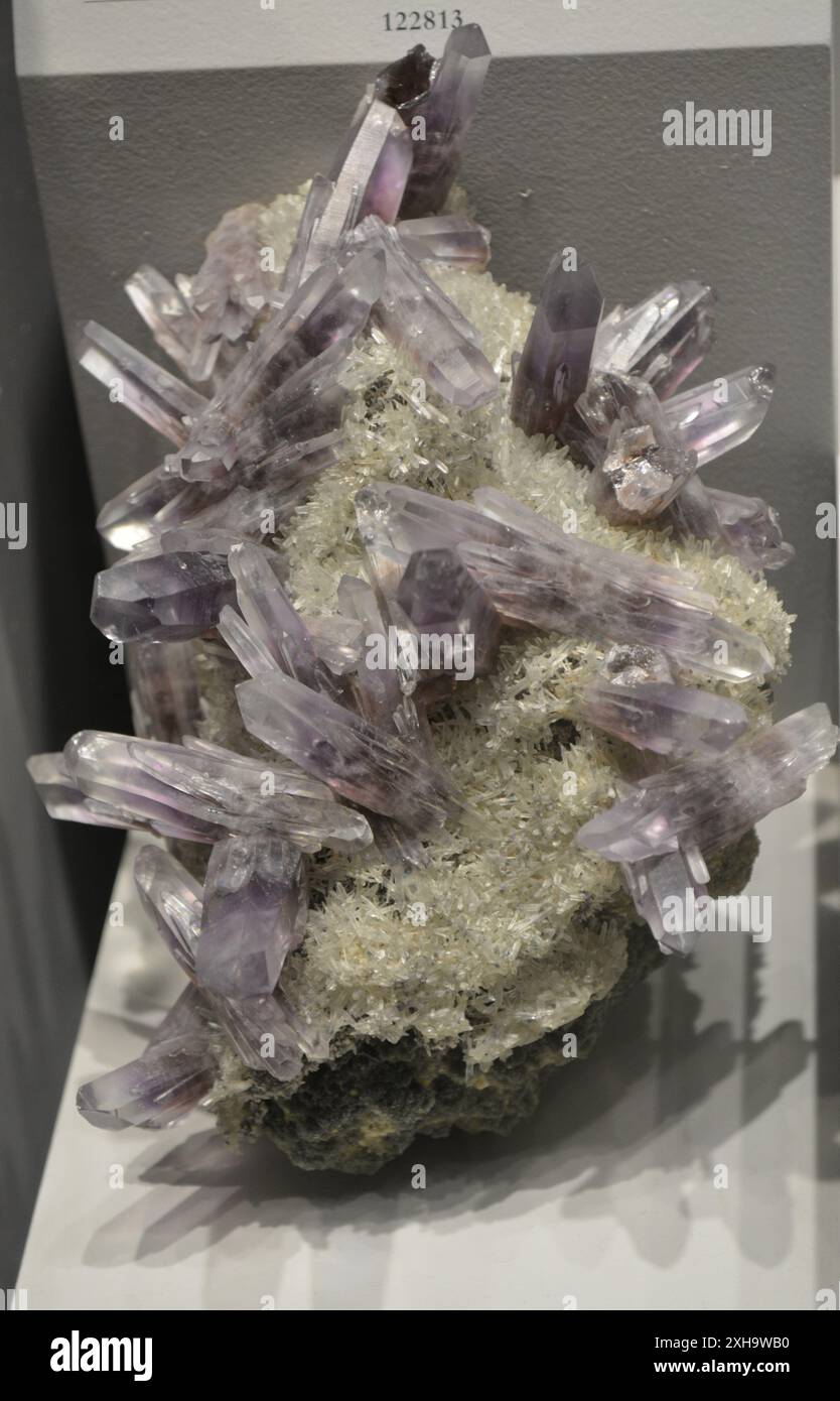 Quartz variant amethyst from Guerrero Mexico. Smithsonian Natural ...