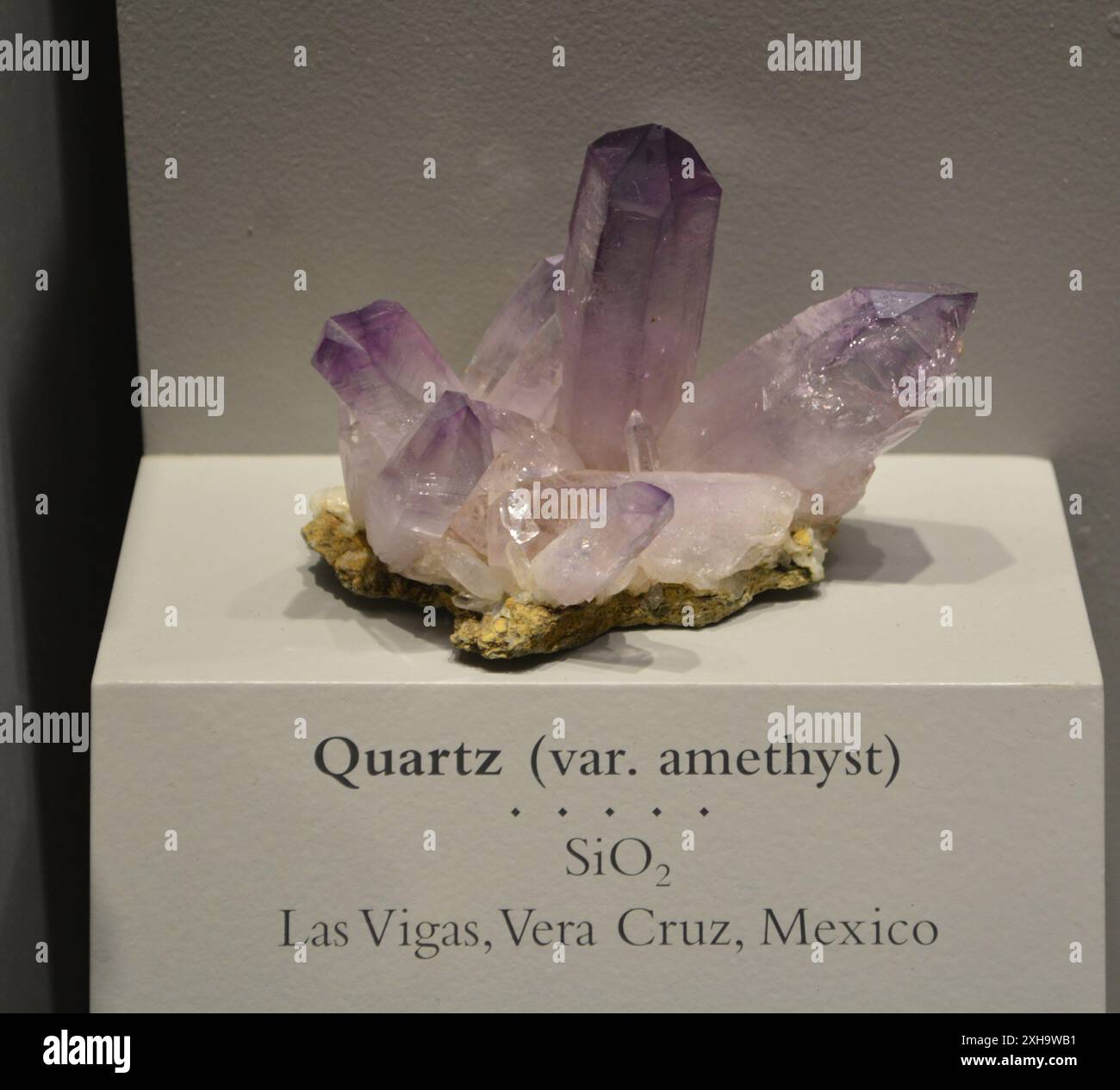 Quartz variant amethyst, Smithsonian Natural History Museum 2015 ...