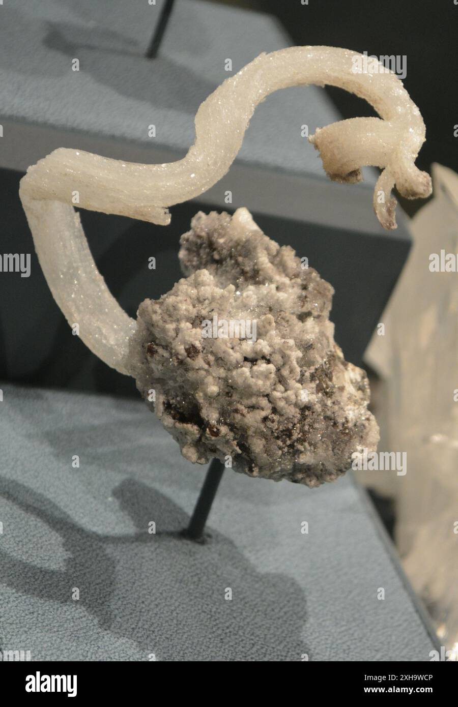 Gypsum from Barranca del Cobre Chihuahua Mexico. Smithsonian Natural ...