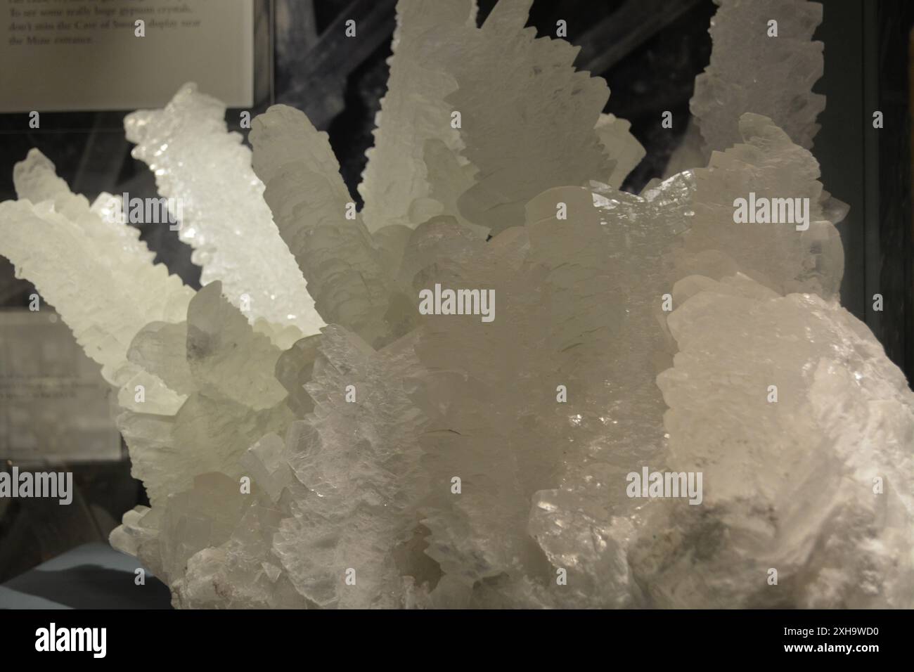 Gypsum from Coahuila Mexico. Smithsonian Natural History Museum 2015 ...