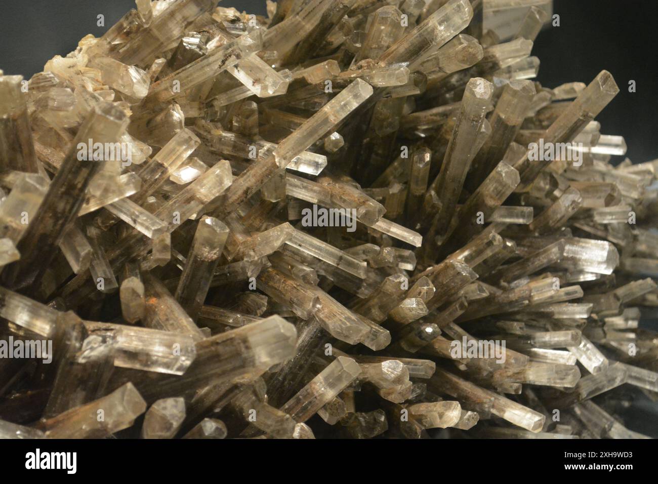 Gypsum from Lepanto mine in Chihuahua Mexico. Smithsonian Natural ...