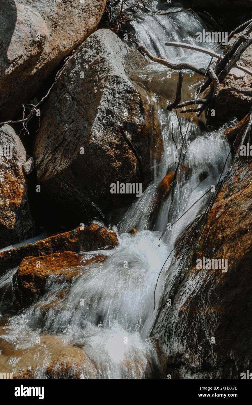 Hidden ecosystem hi-res stock photography and images - Alamy