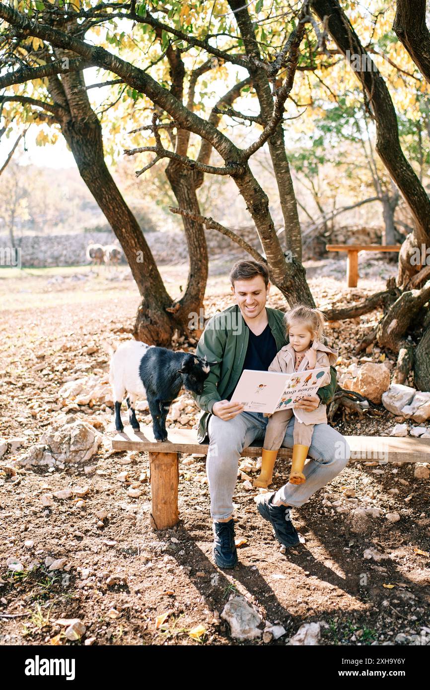 Baby goat stands on a bench near a sitting dad reading a book to a ...
