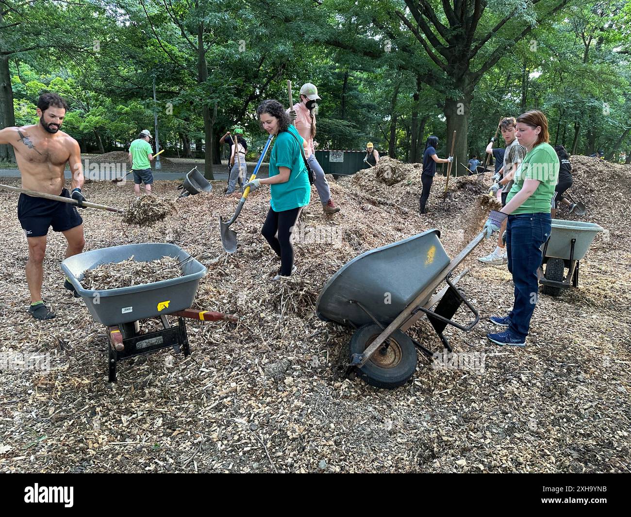 Volunteers redistribute mulch at Prospect Park in Brooklyn, NY. Mulch ...