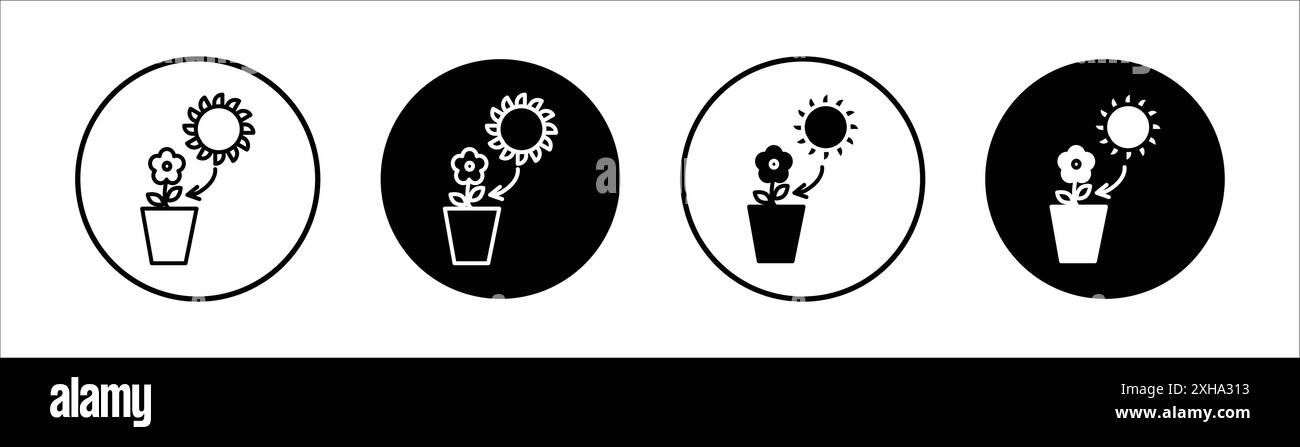 Photosynthesis icon Vector symbol or sign set collection in black and ...