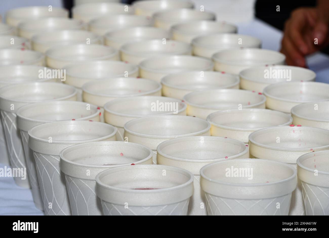 Set of biodegradable, water-filled cups Stock Photo - Alamy