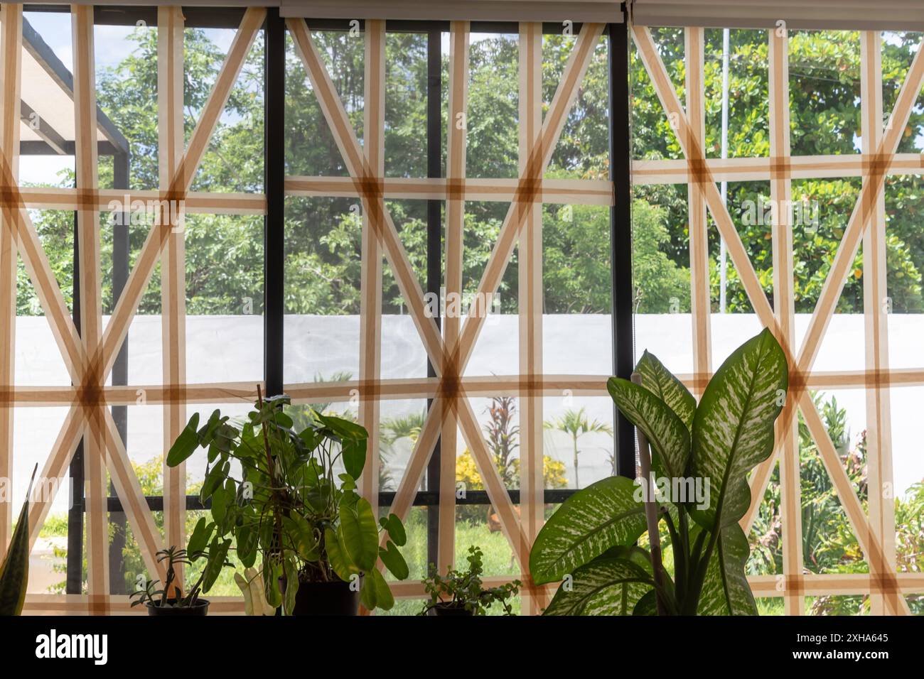 adhesive tape stuck on the windows of a house, in the shape of a star ...